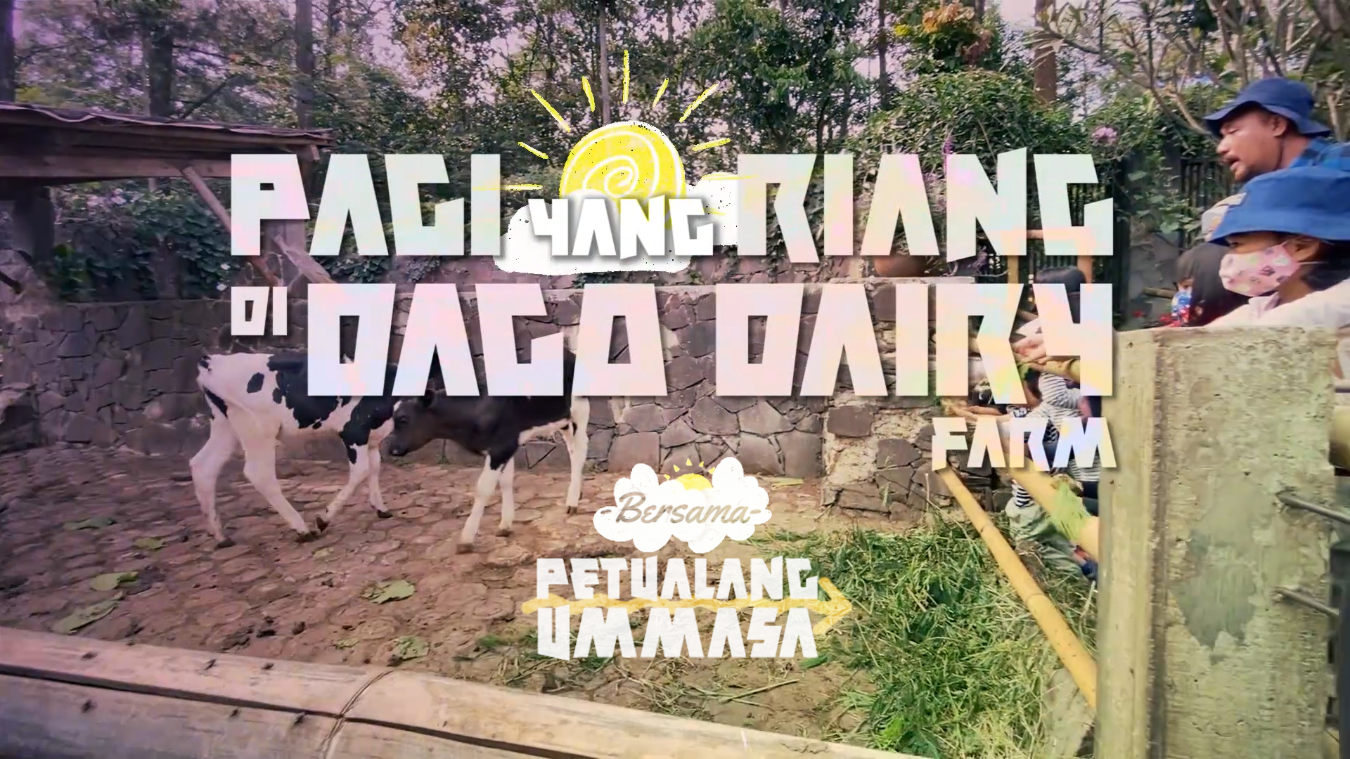 Petualang Ummasa di Dago Dairy Farm - Ummasa